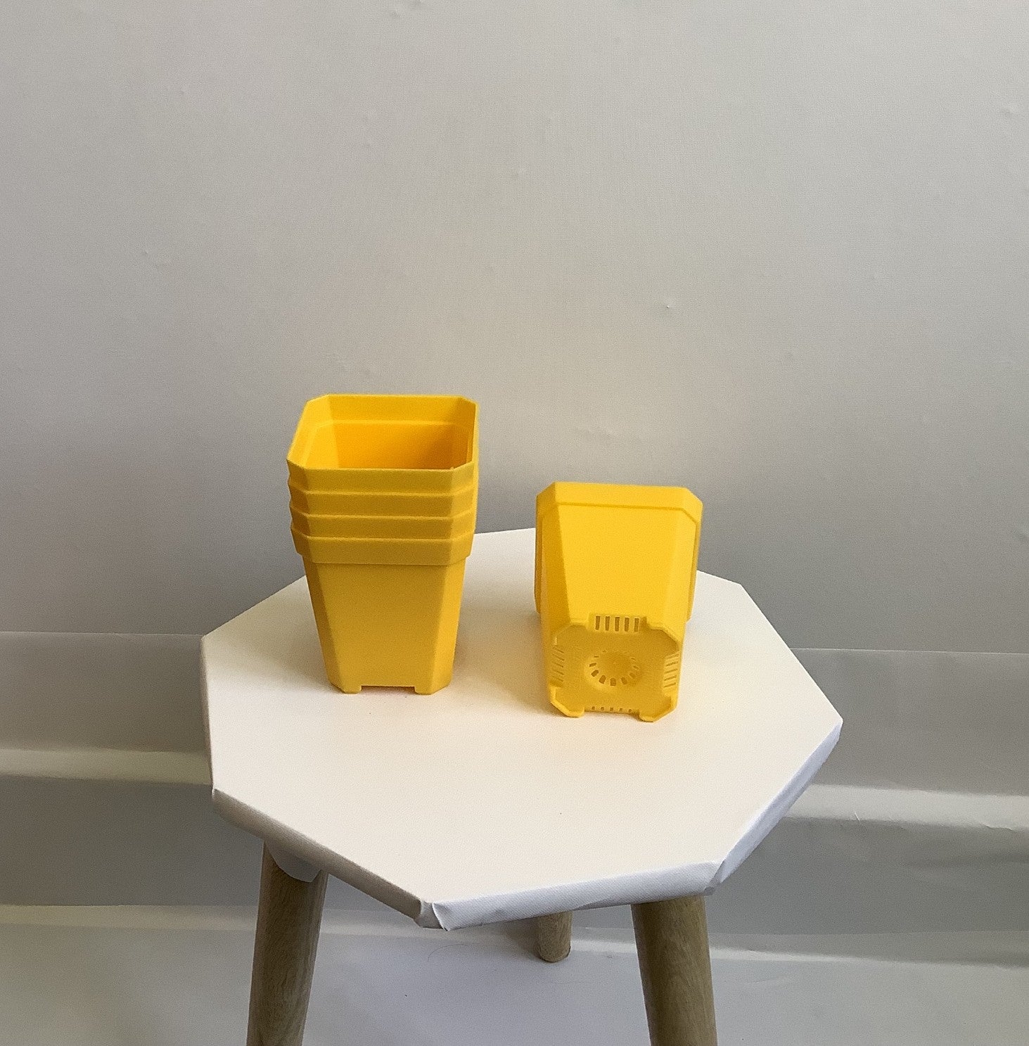 Yellow Pot – Bright Planter for Succulents | PlantRabit – Plant Rabit