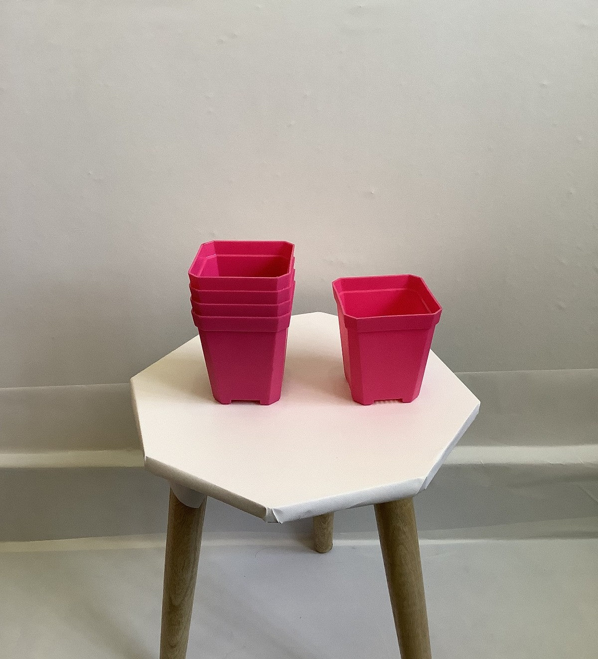 Red Pot – Elegant Planter for Succulents | PlantRabit – Plant Rabit